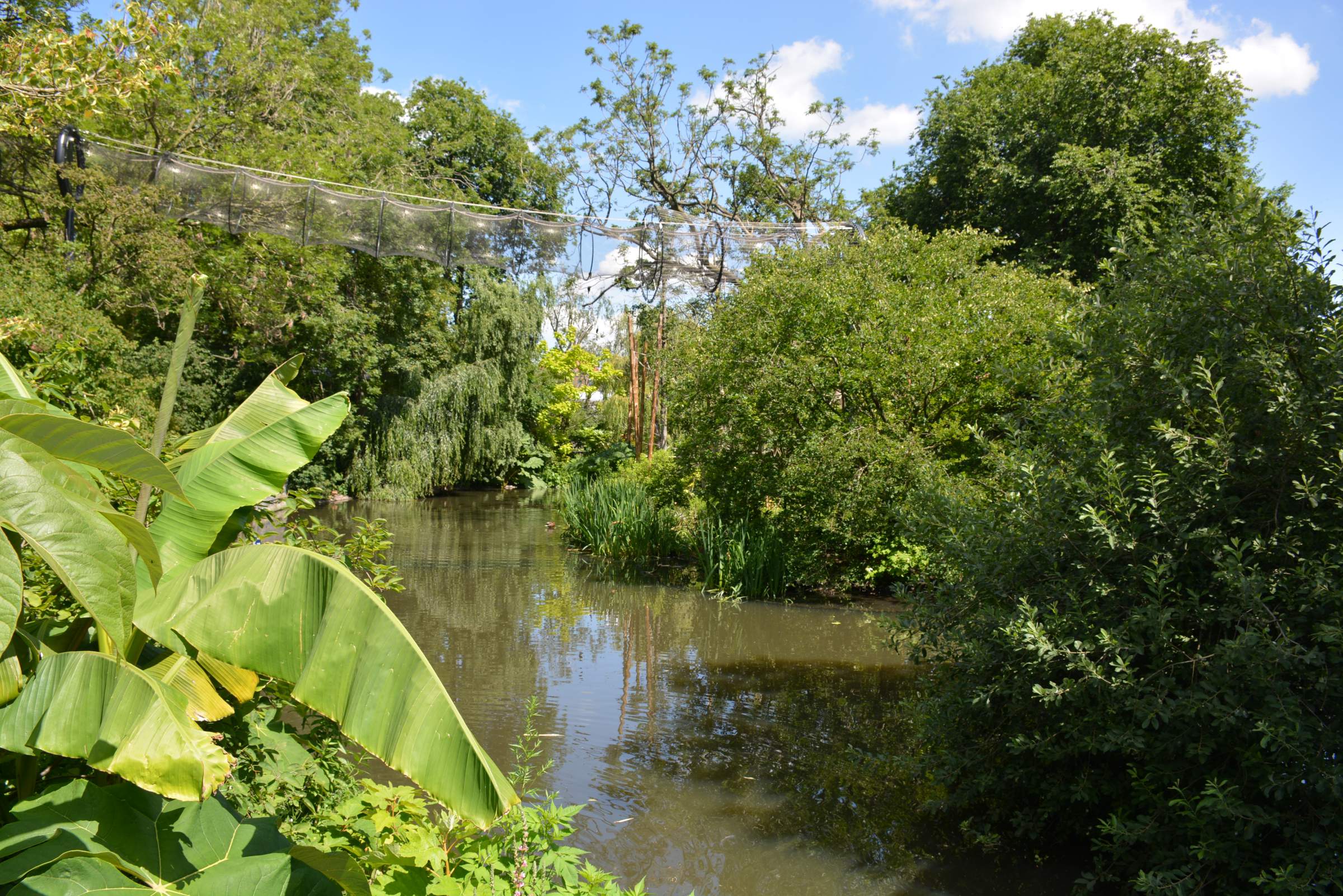 ARTIS Gibbon Island | LANDLAB